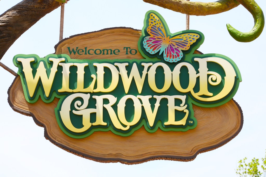6 Reasons Why Dollywood’s Wildwood Grove is a Haven for Kids - Theme ...
